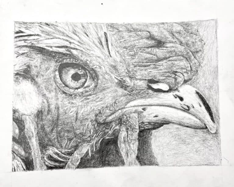 5 Things to Make Your Value and Shading Middle or High School Art ...