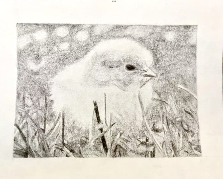 5 Things to Make Your Value and Shading Middle or High School Art ...