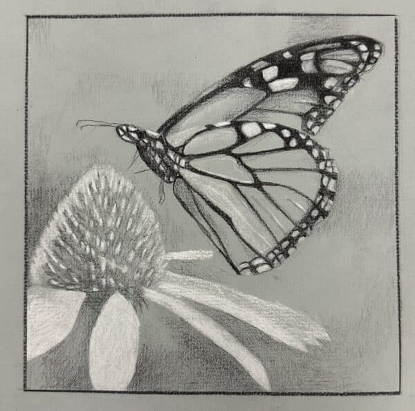 Easy High School Art Lesson Butterfly on Toned Paper in 3 Easy Steps ...