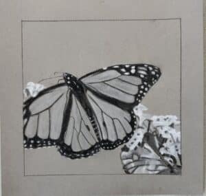 Easy High School Art Lesson Butterfly on Toned Paper in 3 Easy Steps ...