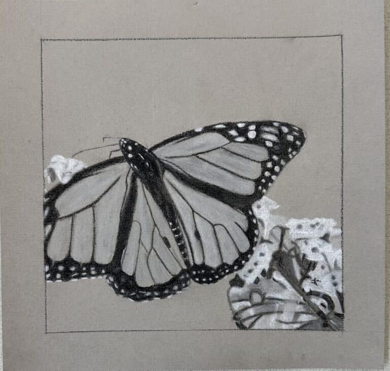 Easy High School Art Lesson Butterfly on Toned Paper in 3 Easy Steps ...