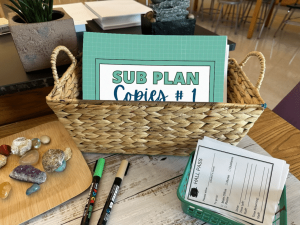 Art Sub Plans: How to Prepare for a Substitute Teacher