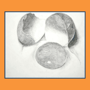 Spring Art Lesson Plan For Drawing Created for Middle Or HS
