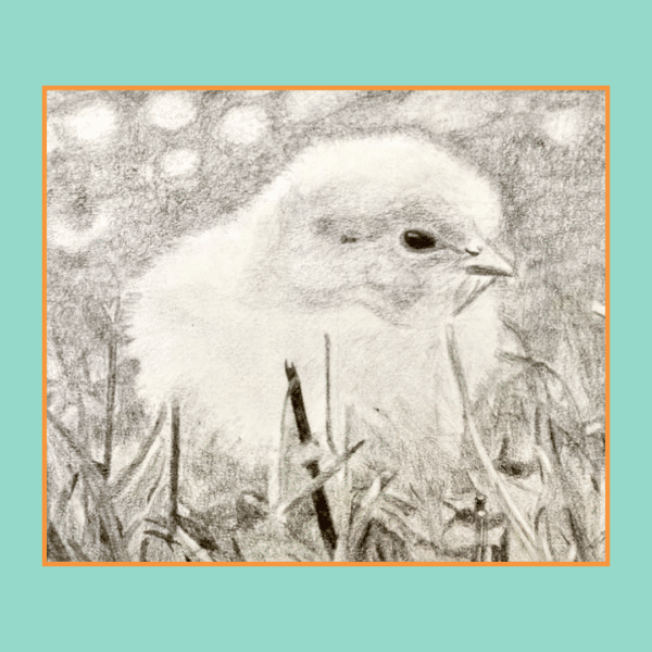 Spring Art Lesson Plan For Drawing Created for Middle Or HS